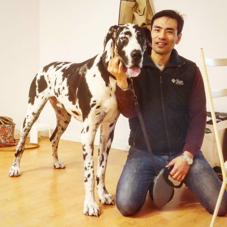 About Us - Arf Arf Bark Bark Rescue Foundation